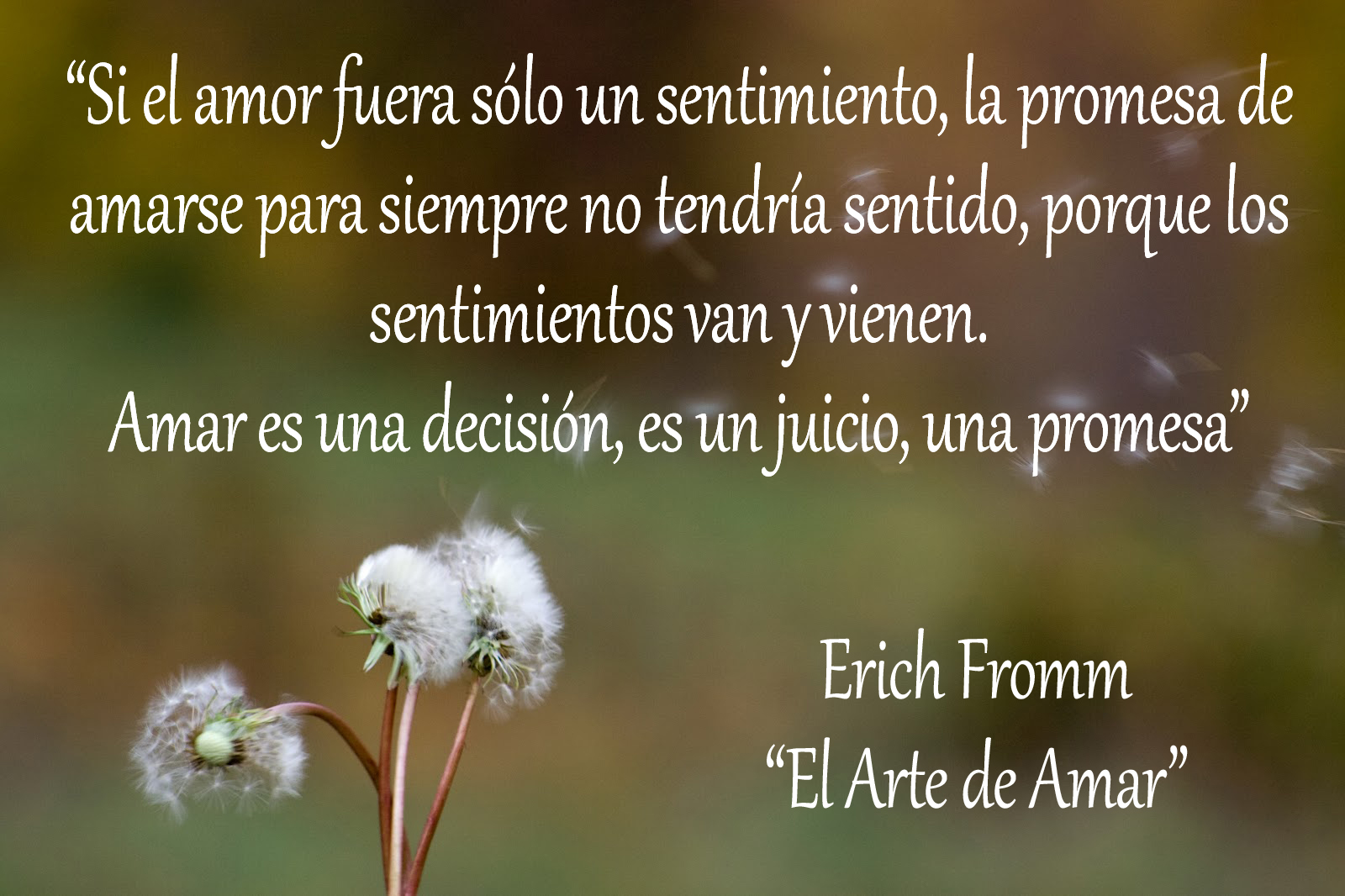 Lazos de Fe: Y... ¿Qué es el amor?