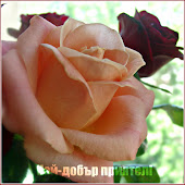 Грис халва с ядки и стафиди (Politikos simigdalenios halvas) - Даровете ...