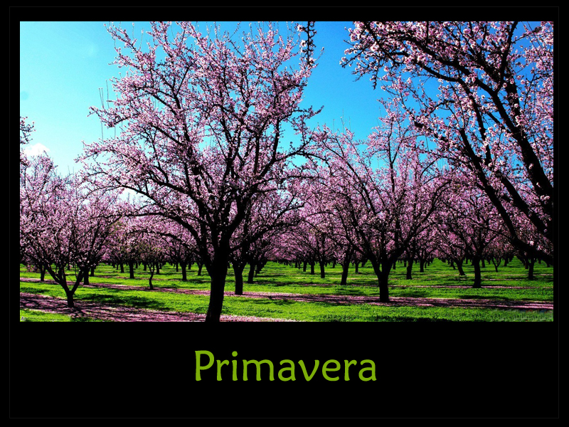 Recursos para el aula de lengua: Spanish season names.