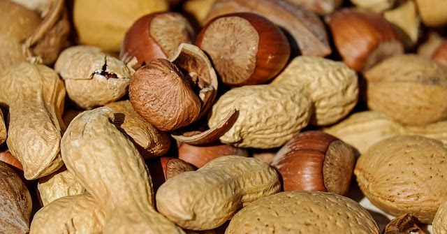 what is coarse fishing: Nuts! Carp go crazy for 'em.