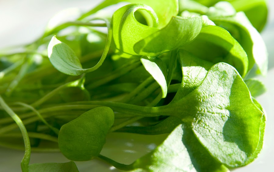 Cardamom: Essentiële Vetzuren: linolzuur & alfa linoleenzuur