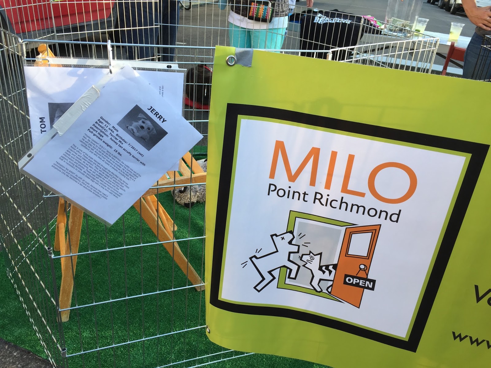 The Point: Pt. Richmond's Milo Foundation begins returning animals to ...