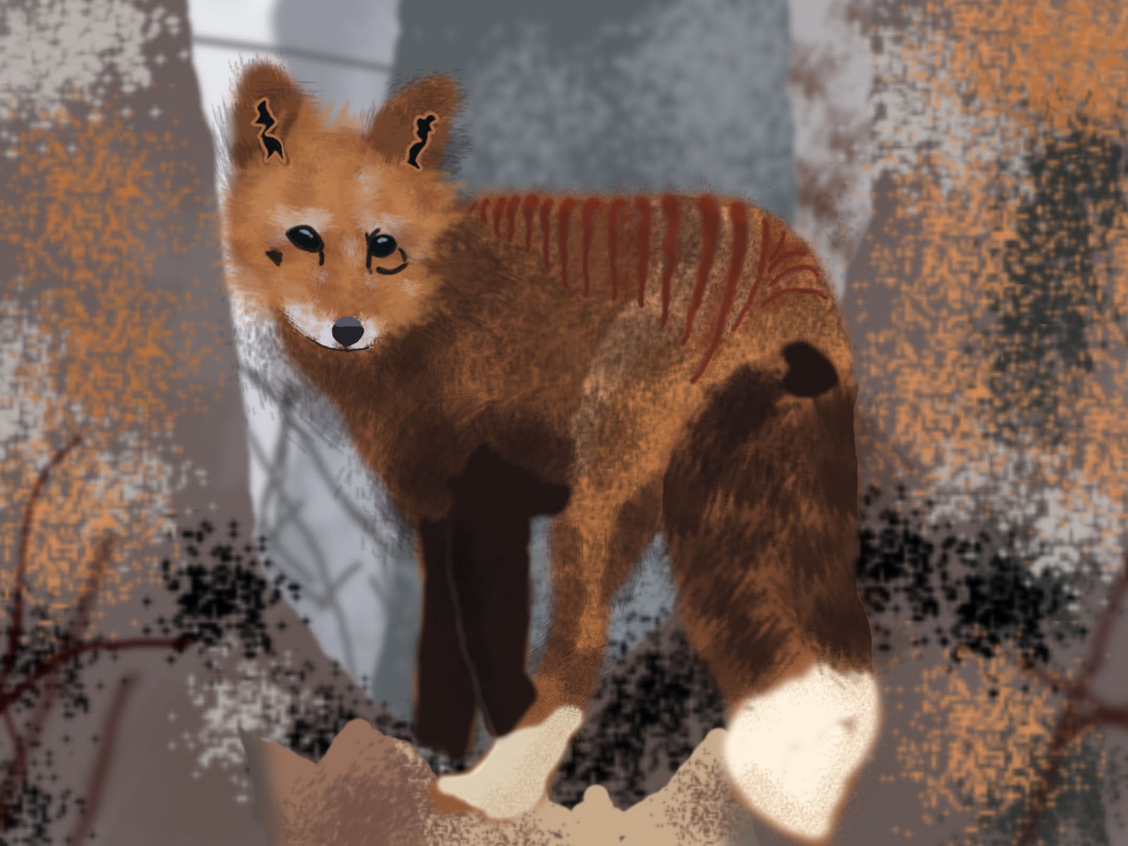 Joy McGivern: Tasmanian Tiger Fox