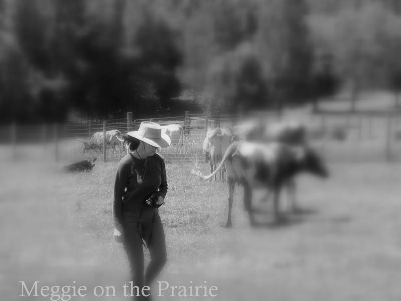 Meggie On The Prairie: It Takes a Team