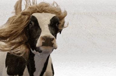 GIF: Assopre suavemente na sua tela