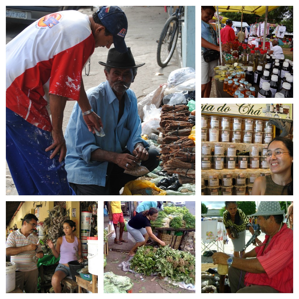 VENTO NORDESTE: DO LAMBEDOR ÀS GARRAFADAS - O PODER MEDICINAL DAS ...