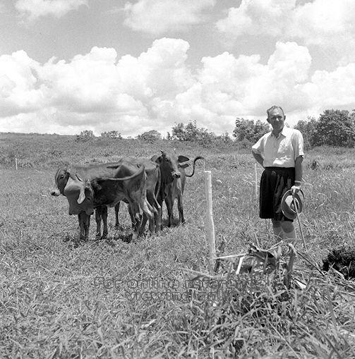 Blog To Express: Ways Done in the Past - Rural Farming