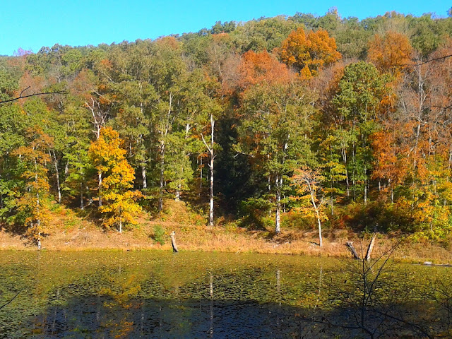 Southern Ohio Hiker: Photos of Lake Hope State Park 10-16-15.