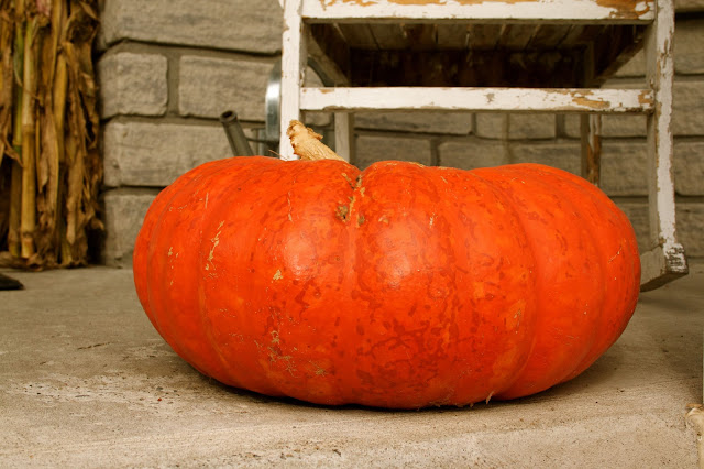 Experience the Wonderful.: oh...hello fall.