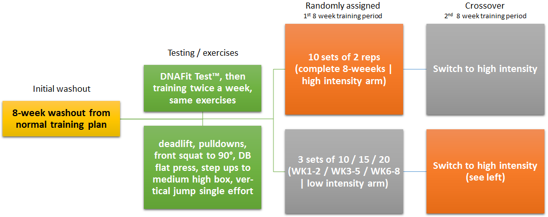 Training in Line W/ Your Genetic Potential Can Boost Your Performance ...