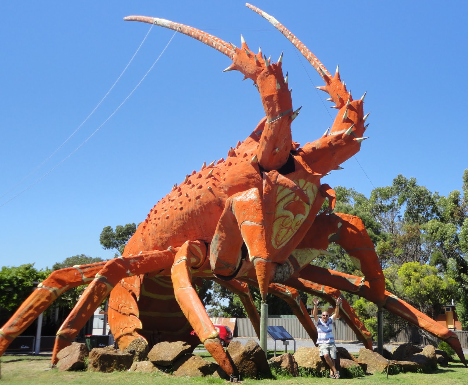 Absolute unit of a whatever this is : r/AbsoluteUnits