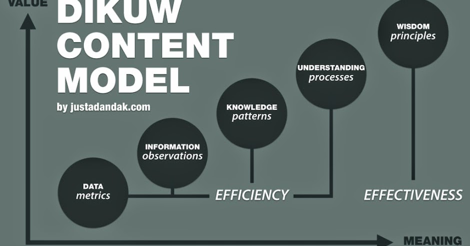 Informática médica: Modelo DICS