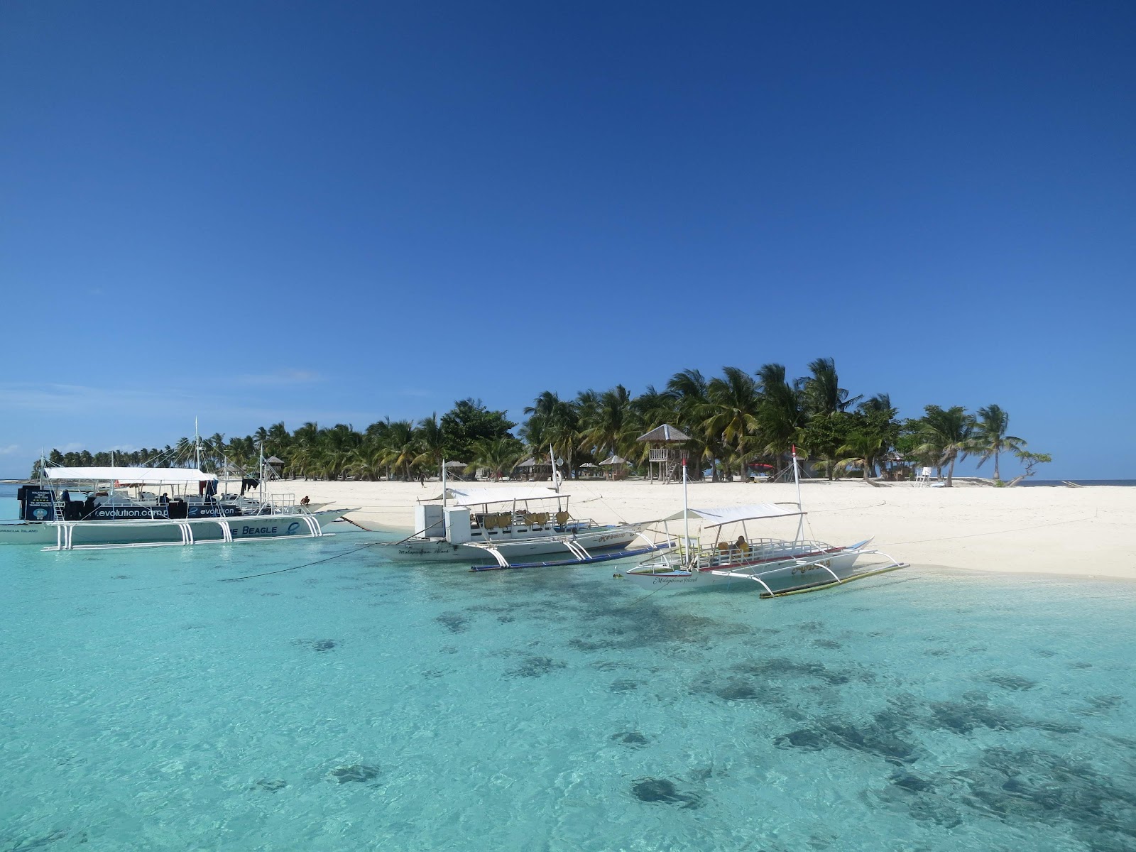 Getting to Malapascua Island