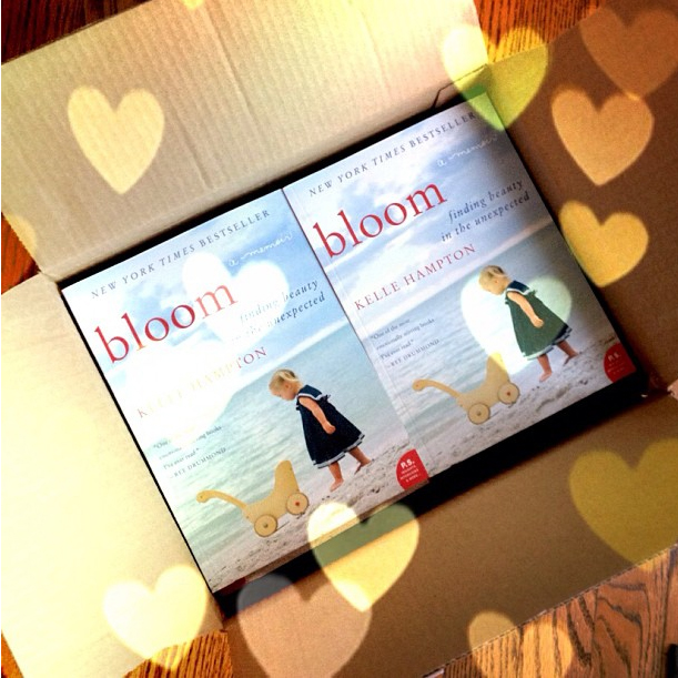 Dream Big Little One: Bloom