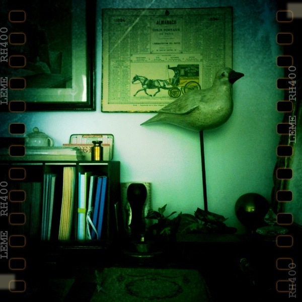 Ce Que Je Regarde: Le musée de Ronit B.