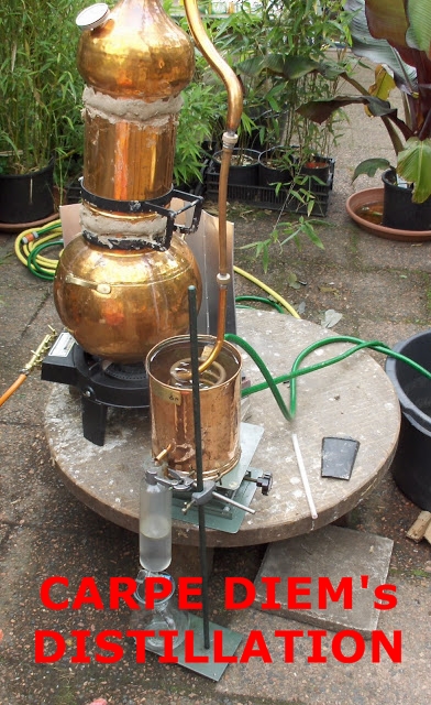 CARPE DIEM HAIKU KAI: Carpe Diem's Distillation #2, A poem by Genji ...