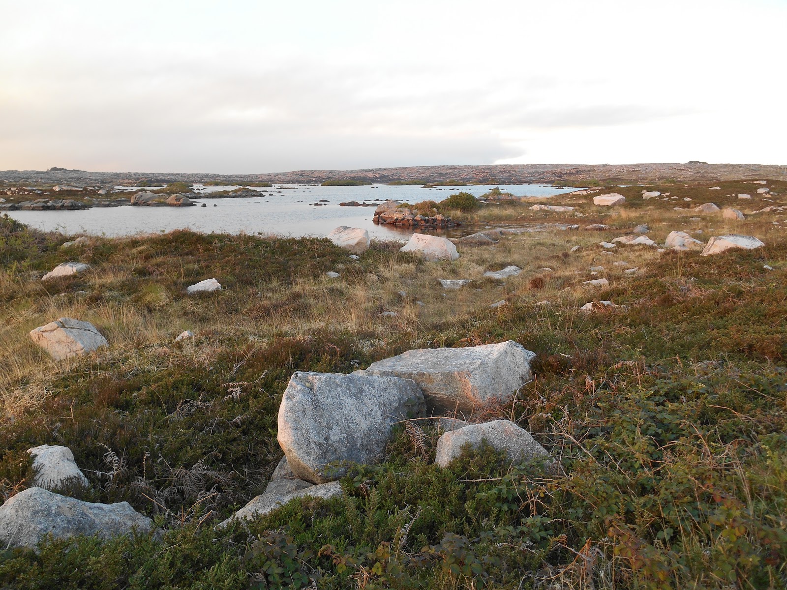 A lifetime of Islands: Island 60 - Gorumna/Garmna - County Galway, Ireland