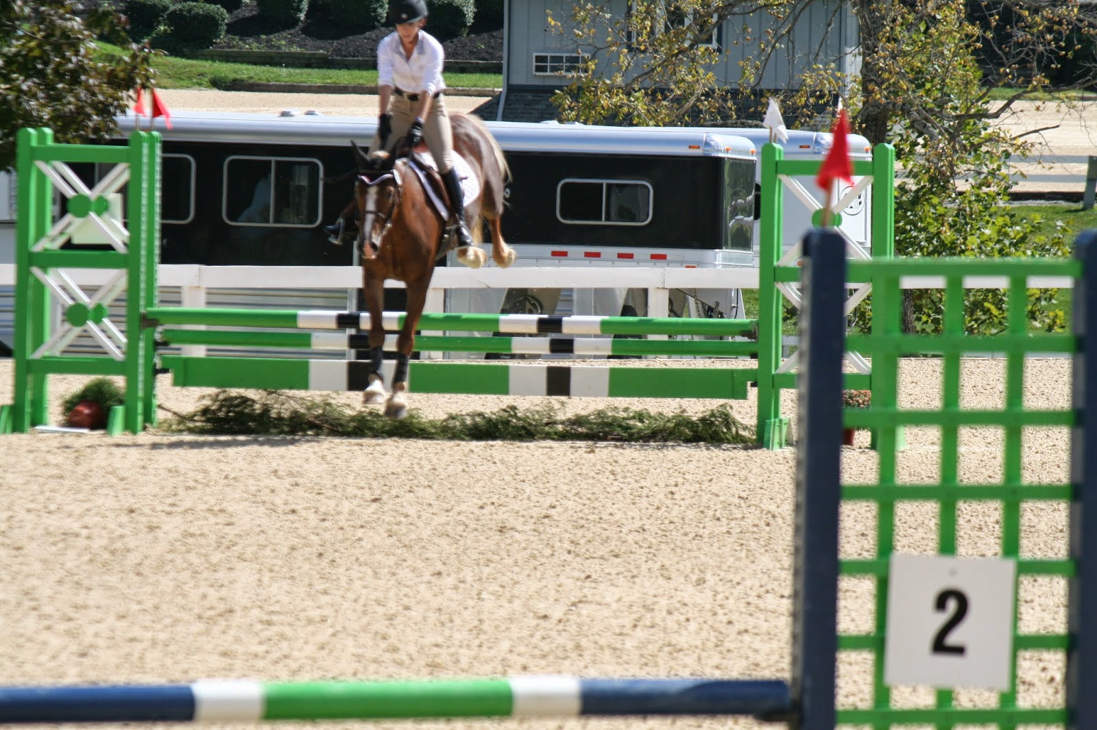 Cob Jockey: Jump Start HT: Show Jumping