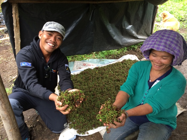 Andaliman & Sirapege: Sebuah Perjalanan Mencari Ladang 'Emas' Yang ...