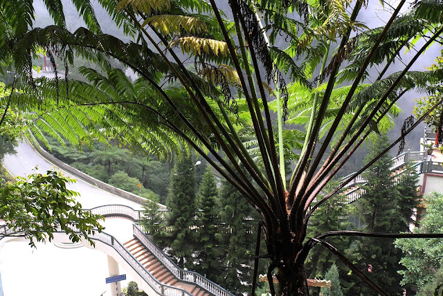 JE TunNel: CHIN SWEE Caves Temple 清水岩庙 @ ResortsWorld Genting is a Must ...