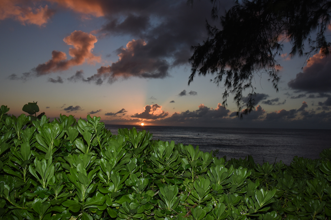 Oahu Photos: Turtle Bay Resort