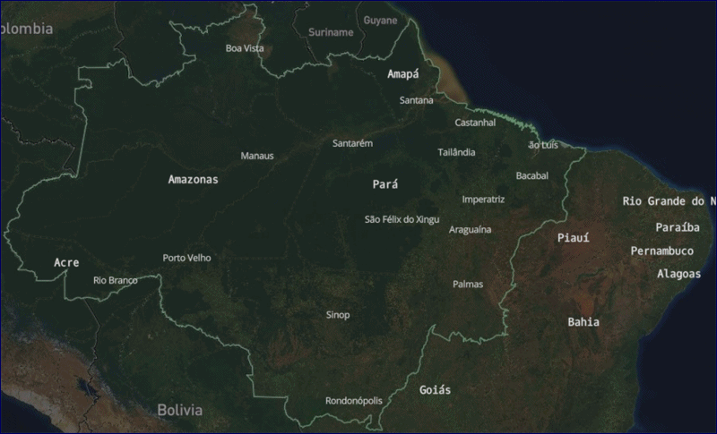 Bola pra mata: Animação mostra os impactos ambientais de estradas na ...