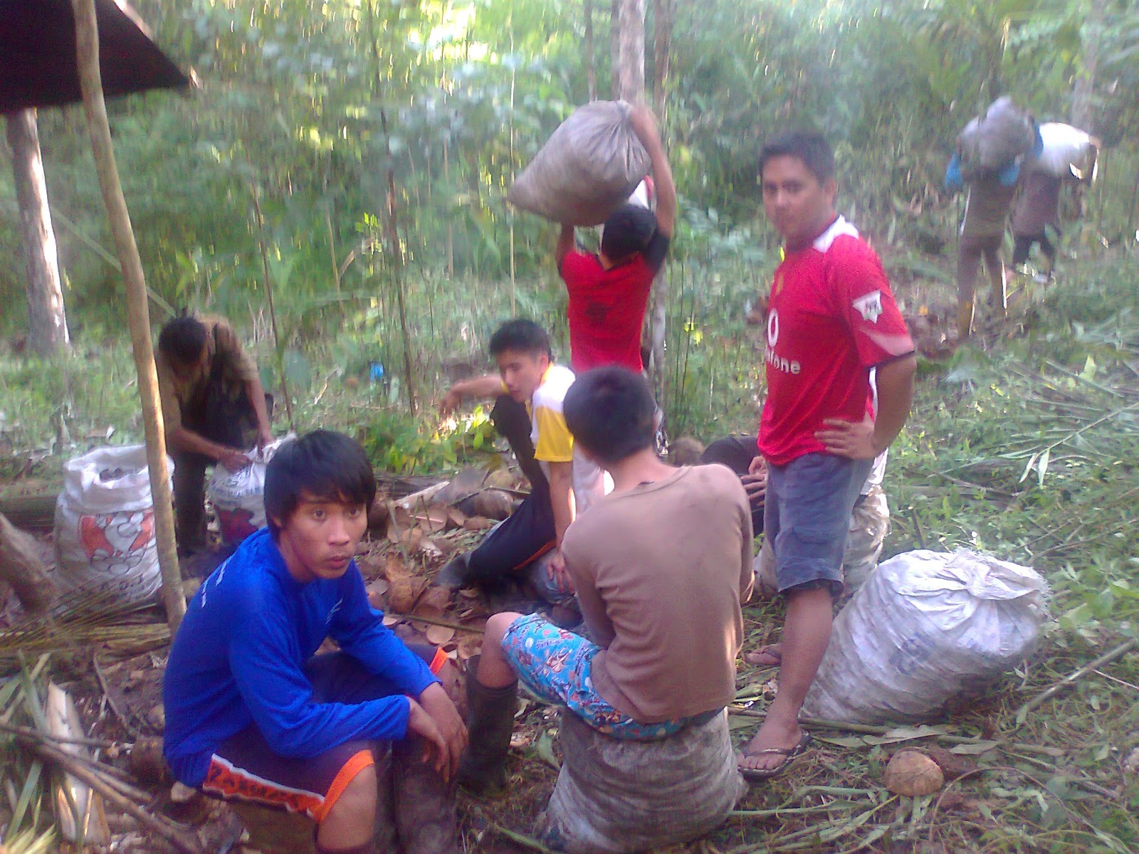 Mapalus Bagian Dari Seni dan Budaya Minahasa | Tou Minahasa