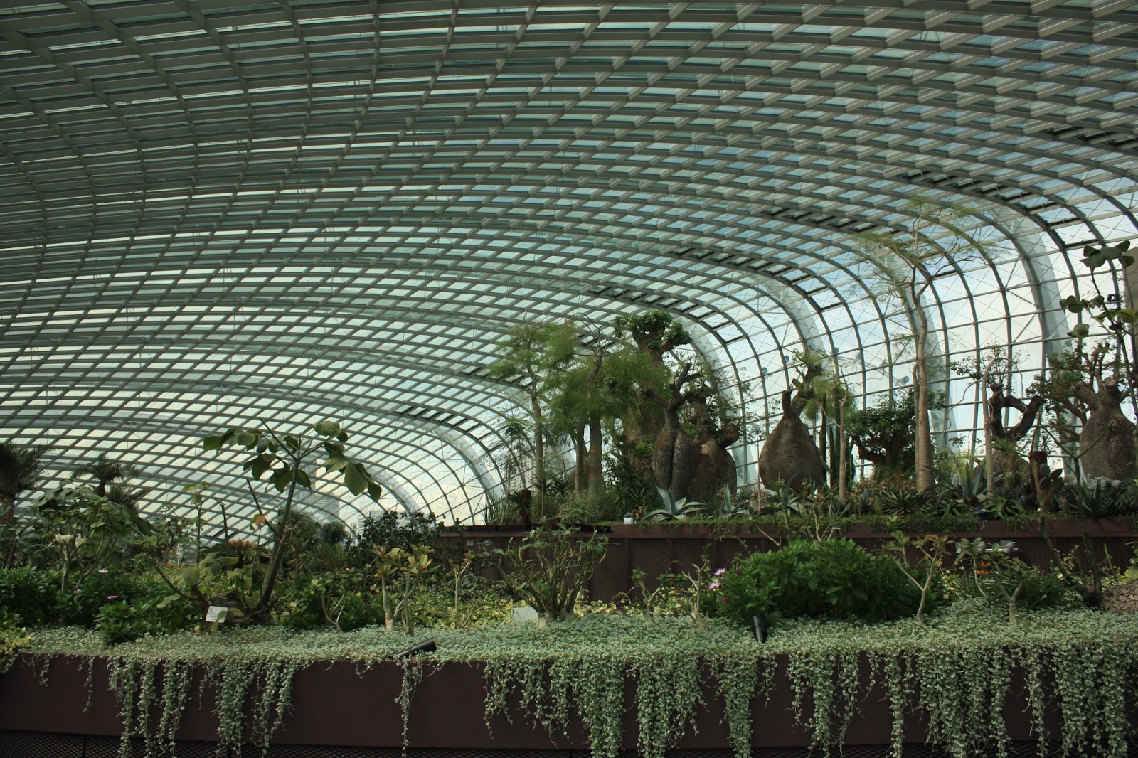 piccas@pianofantaisie by Min: Flower Dome and Cloud Forest