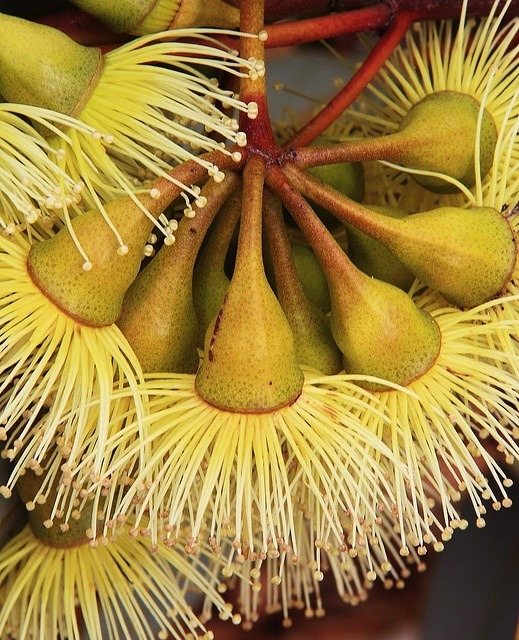 My Life with Functional Neurological Disorder: Edwin Leaves