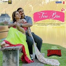 Tere Bin Lyrics