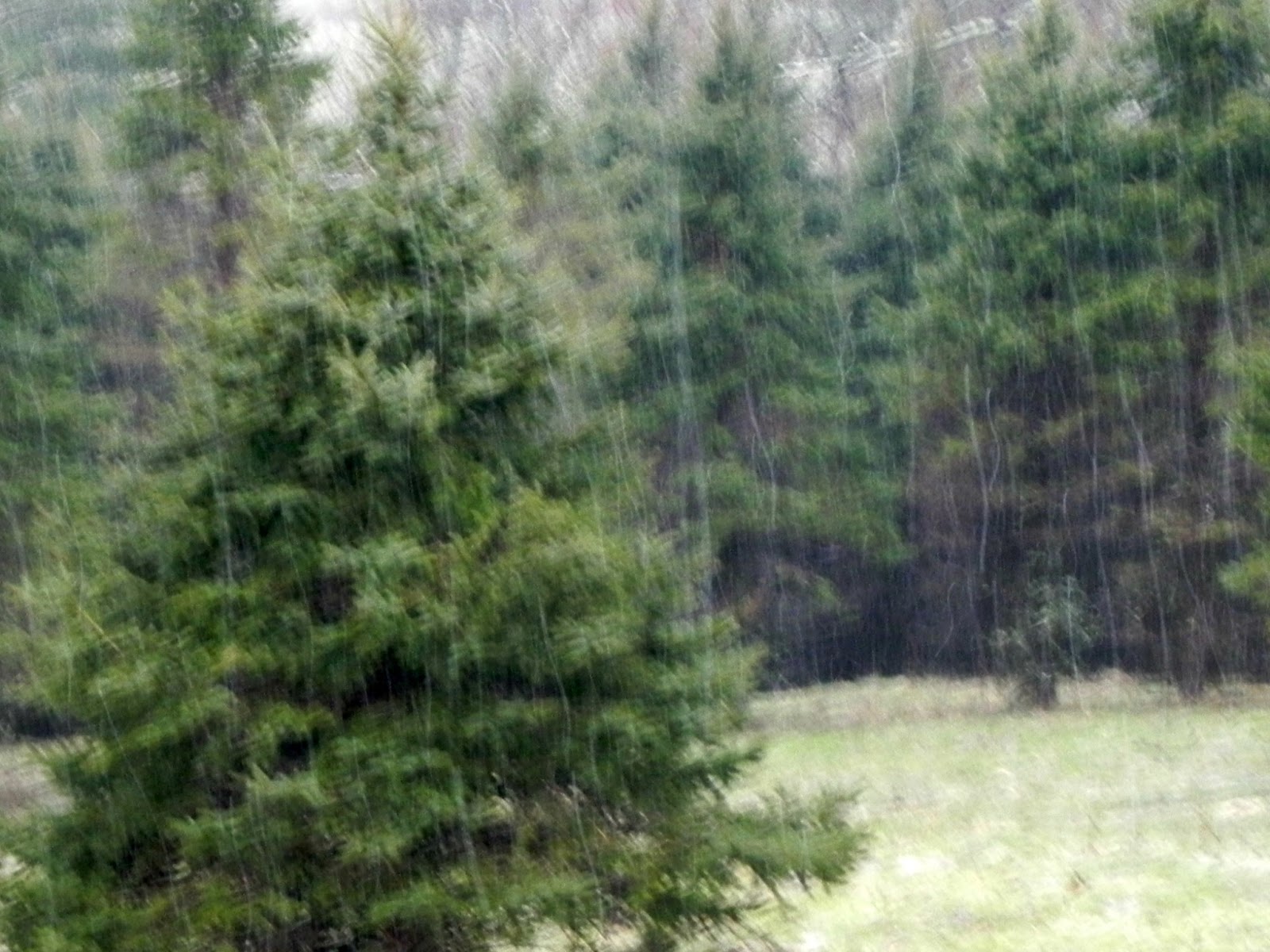 BlueRidge Boomer: March 2013