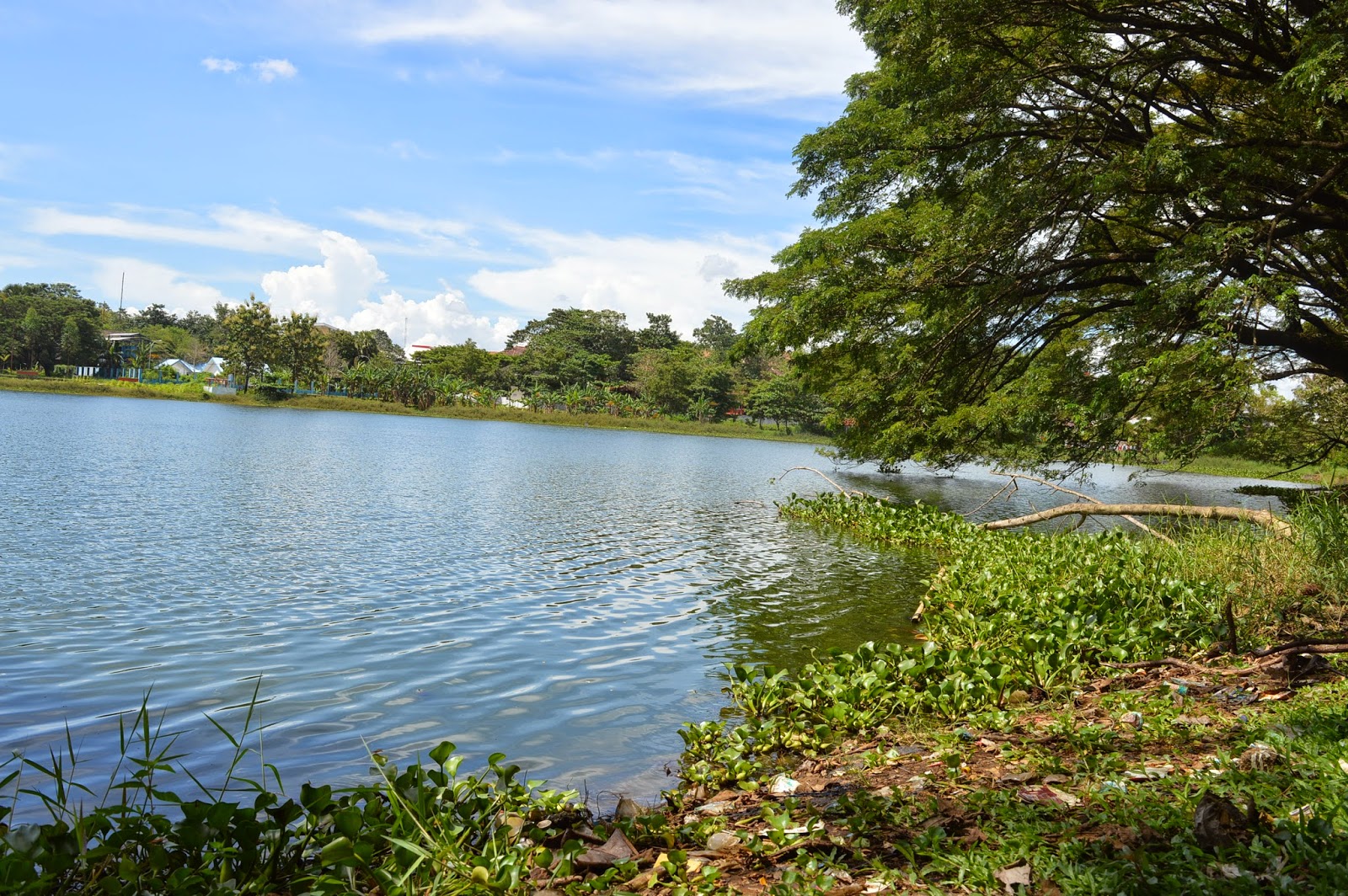 mozaik arsitek : Pesona Danau UNHAS