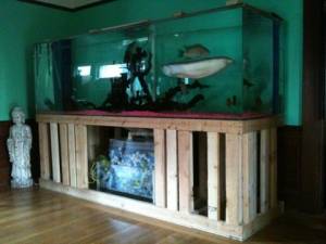 Giant Aquariums: 400 gallon aquarium / fish tank - $1700 (Stockton)