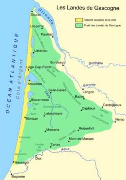 TOUR THE WORLD: DUNES OF PYLA FRANCE