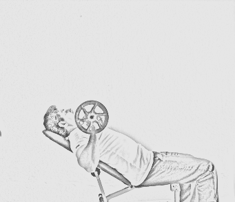 Ejercicios para el Gym: Press con Barra