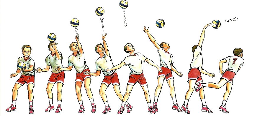 Fundamentos técnicos - Voleibol - Prof.Gregory
