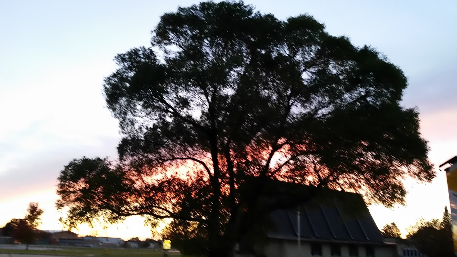 Celebrating the Dance : Dreary Fall Day and A Delay