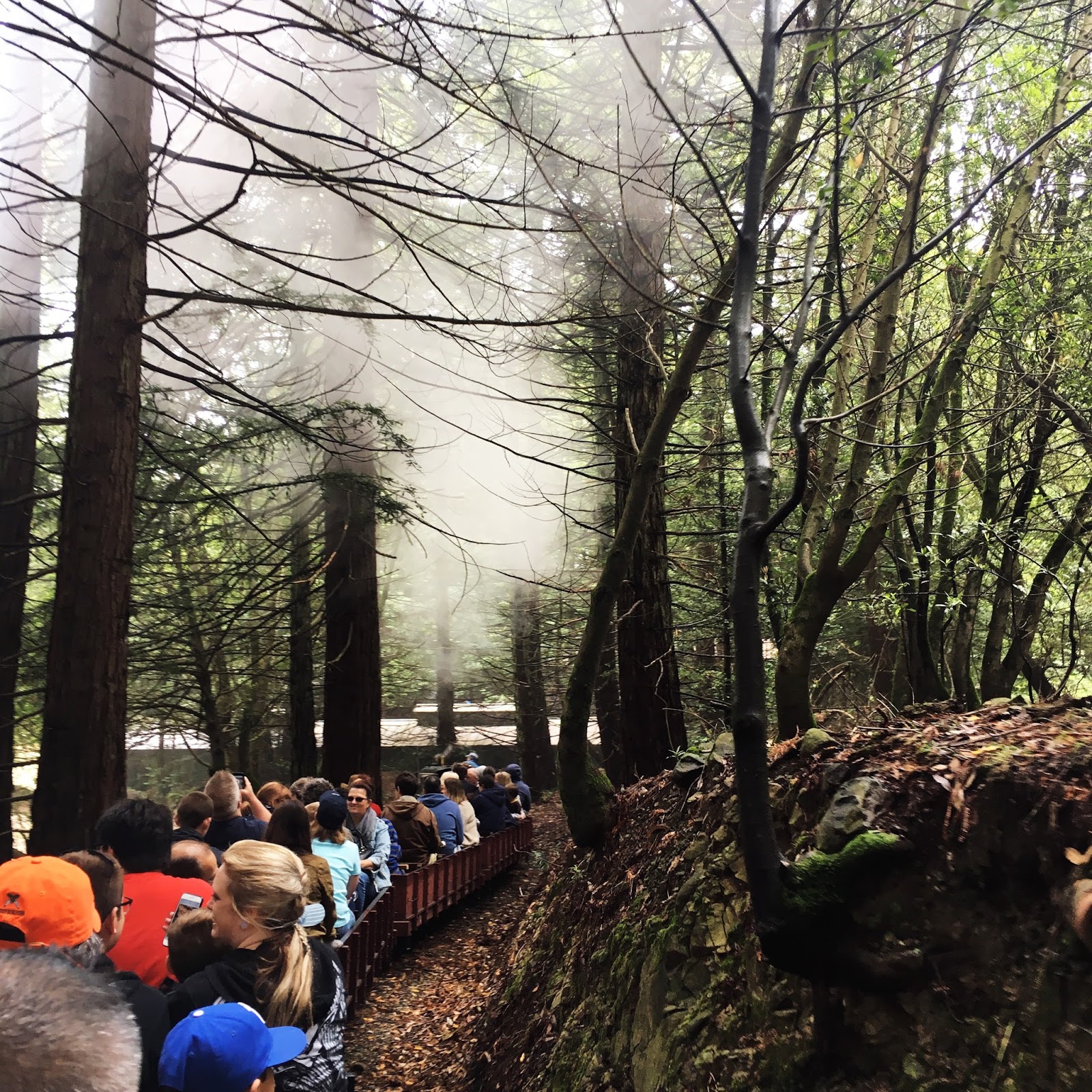 Tilden Park - Hike & Steam Trains / Two Plus Luna
