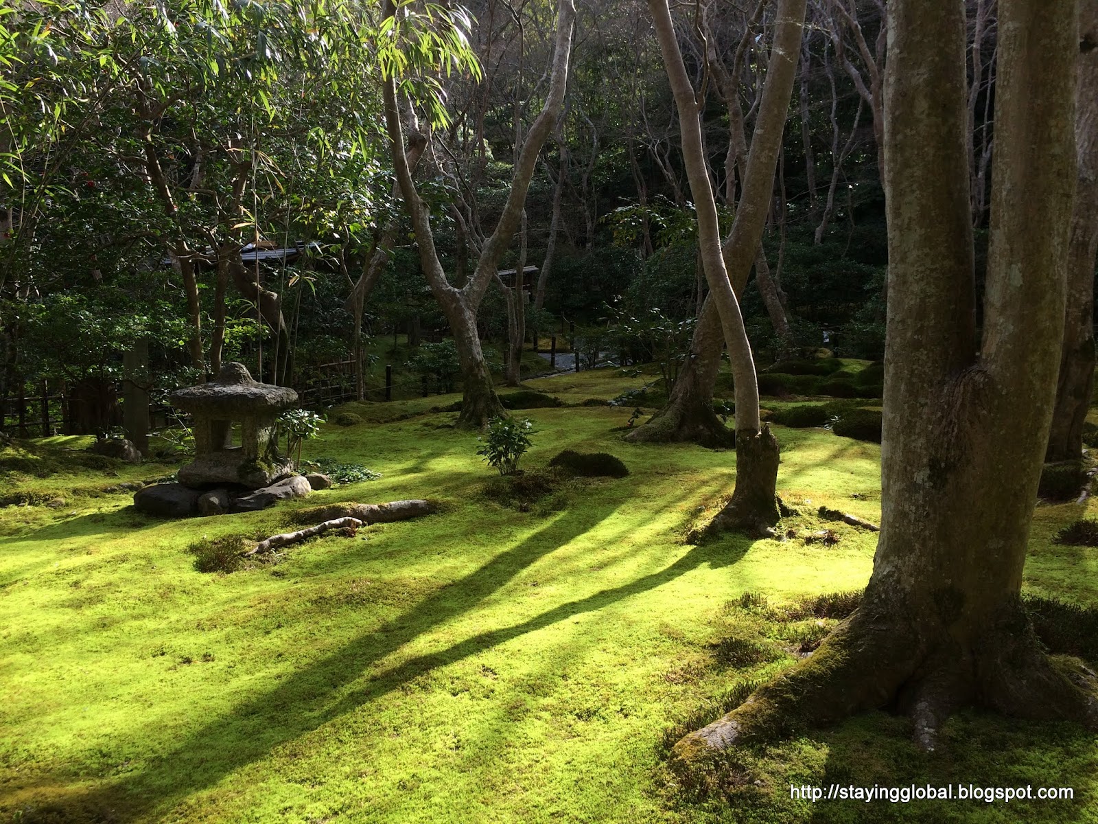 A Global Life: Kyoto - Gioji Temple