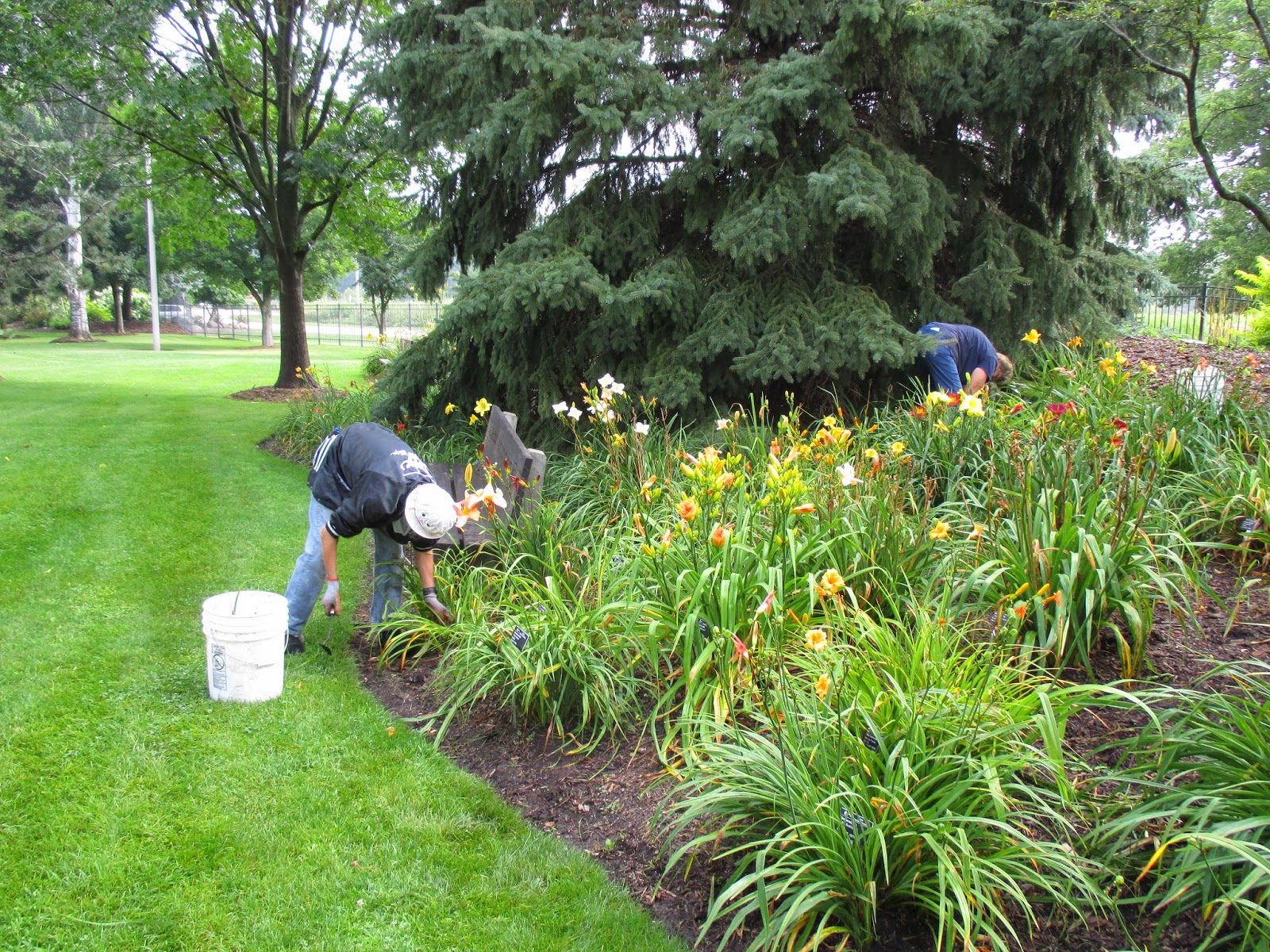 Rotary Botanical Gardens - Hort Blog: Prayers Answered - 1.7" of Rain ...