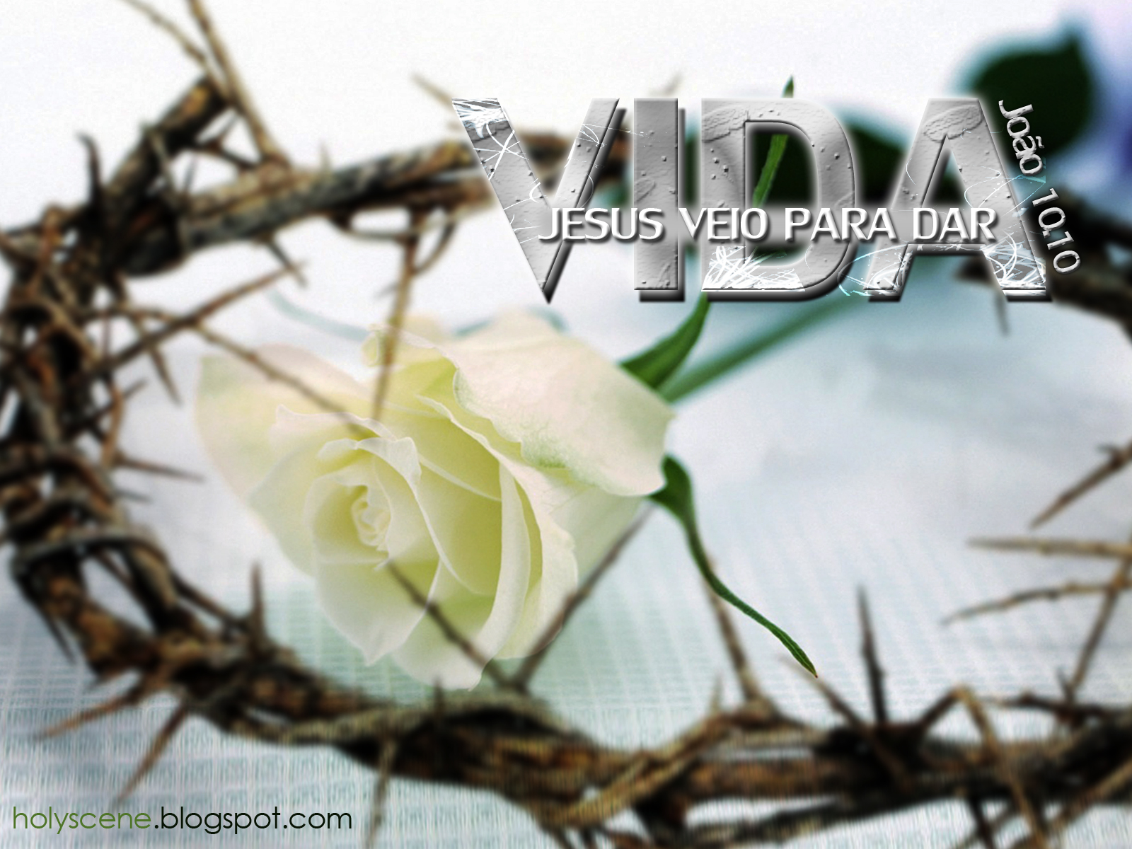 holy.scene .::.: Jesus veio para te dar Vida