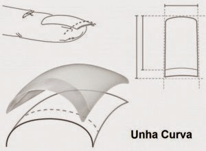 Diferenças Das Tips Para Unhas | Unha Bonita - Moda para suas unhas