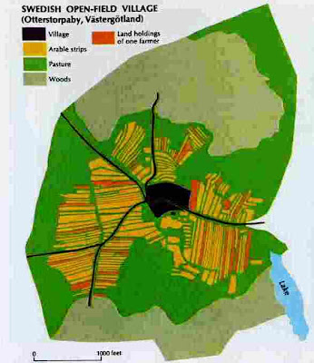 theindustrialrevolution: The Open-field System