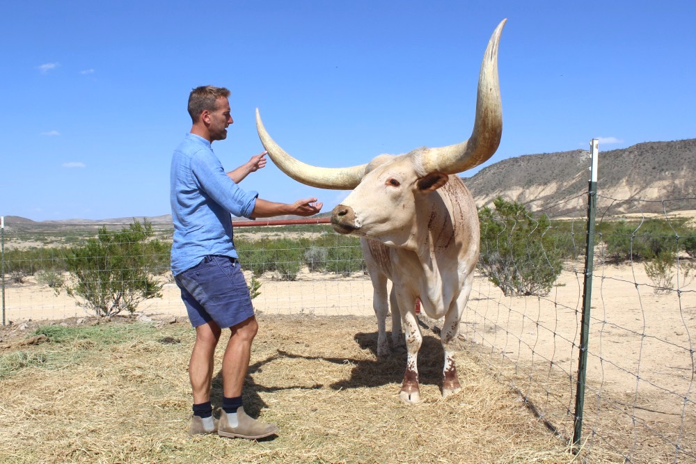 The Field Lab: Ben Fogle returns...