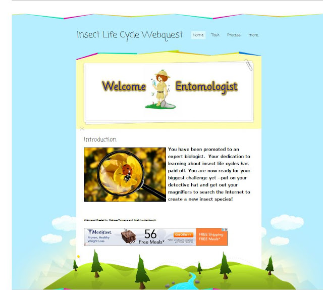 Lucky in Learning: Insect Life Cycles Webquest