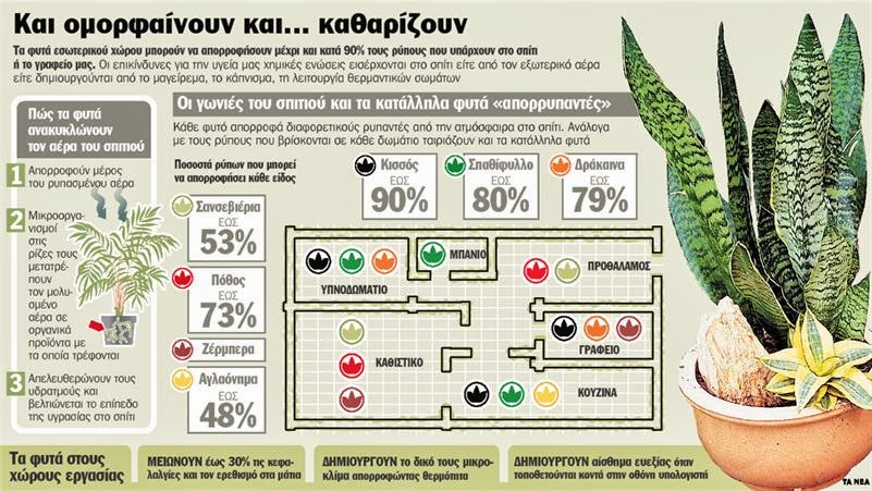 Τα φυτά που καθαρίζουν τον αέρα σπιτιού - Η ΔΙΑΔΡΟΜΗ