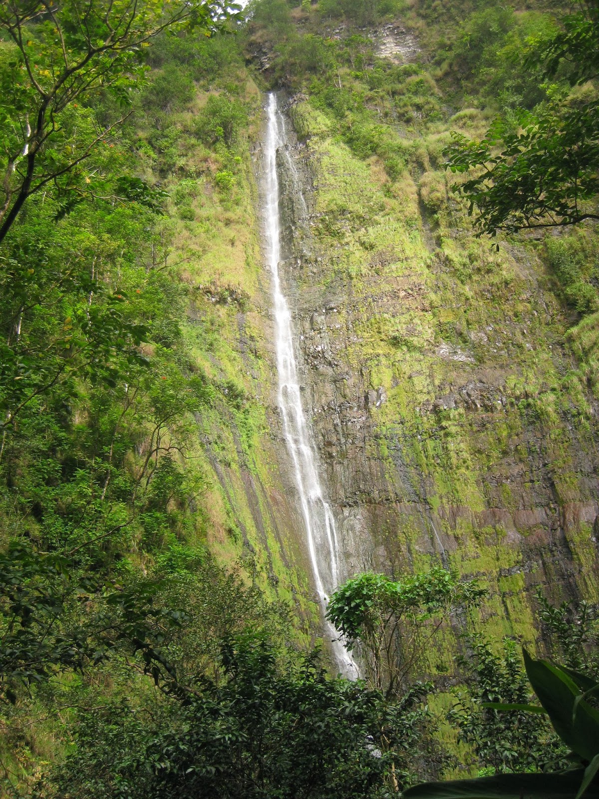 Hawaiian Journeys: Hawaiian Waterfalls