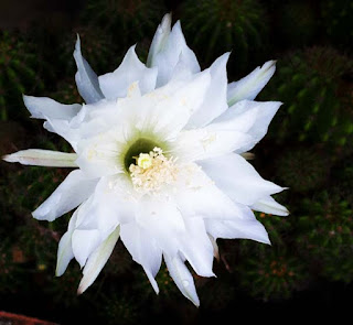 June 2018 - Fleeting Time