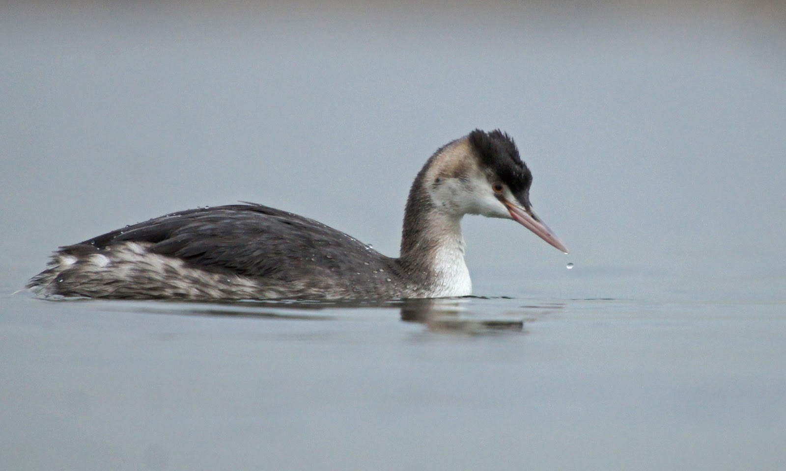 De wereld door mijn lenzen: Verkenningstochtjes