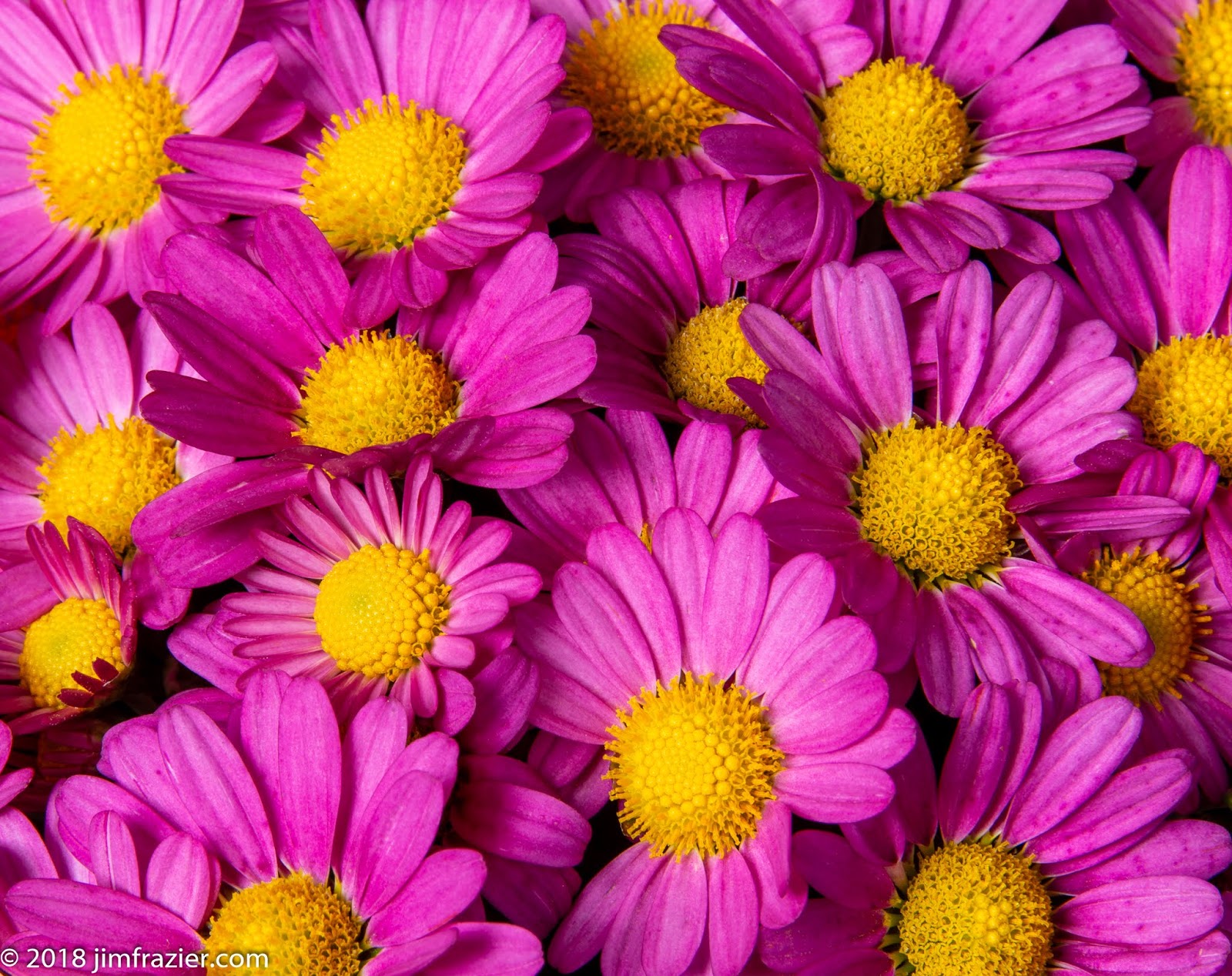 Jim Frazier Photography